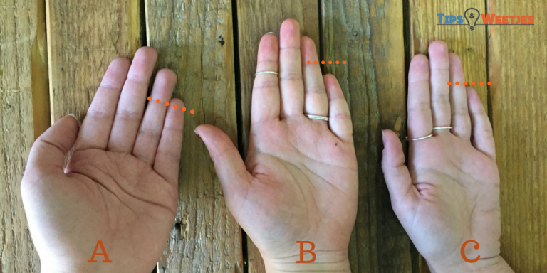 How long is your little finger compared to your ring finger? This is ...