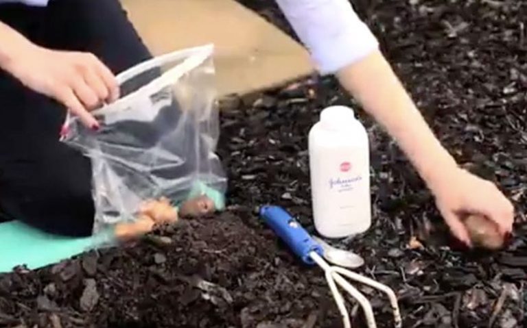 Here's why you should use baby powder in your garden! Genius!