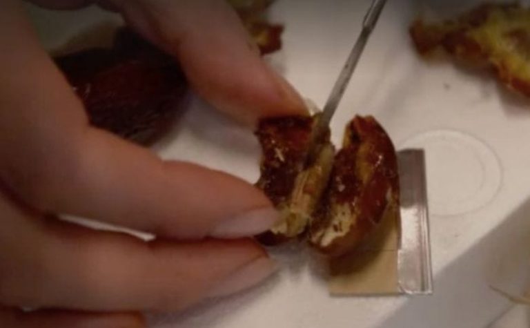 Shocking: you'll never want to eat dates again for this gross reason