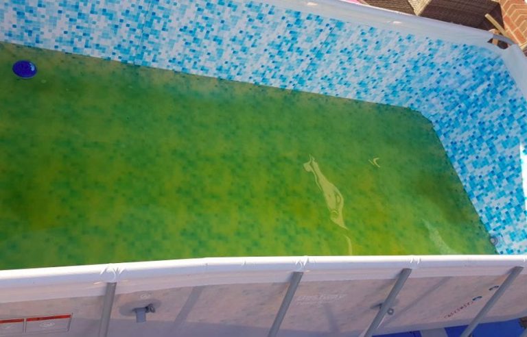 Make green pool water clear again with these three simple steps