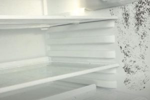 This is the grossest spot in your fridge that you're forgetting to clean
