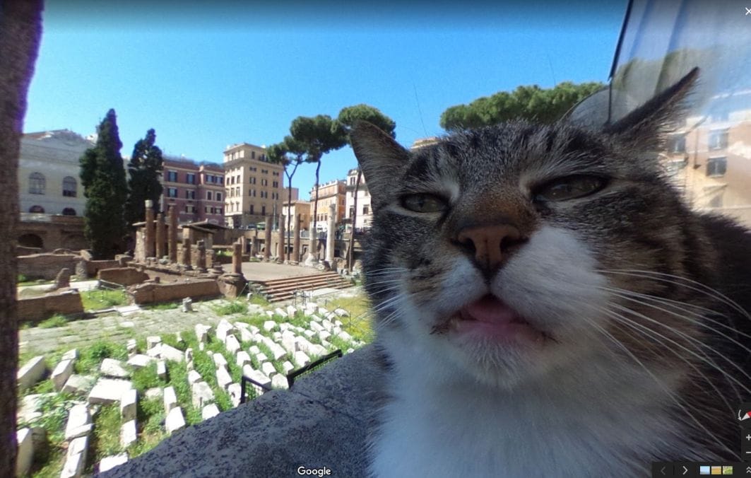 These are the 12 most bizarre photos on Google Street View