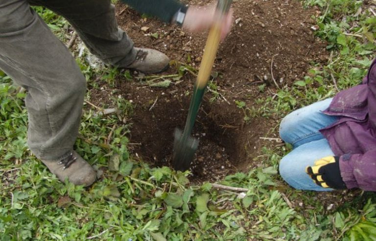 Man digs hole in backyard and makes an extraordinary discovery