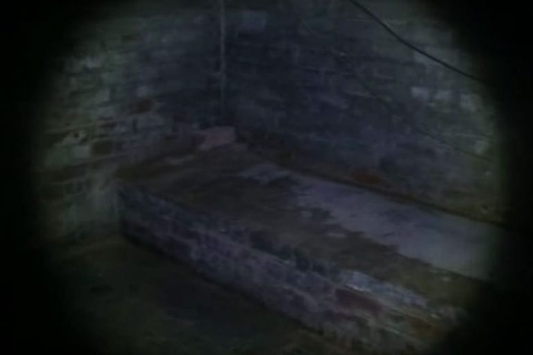 Man finds secret hatch in his home: what's underneath it will surprise you!