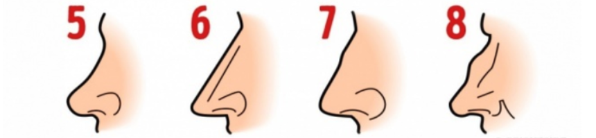 What kind of nose do you have? THIS is what it says about your ...