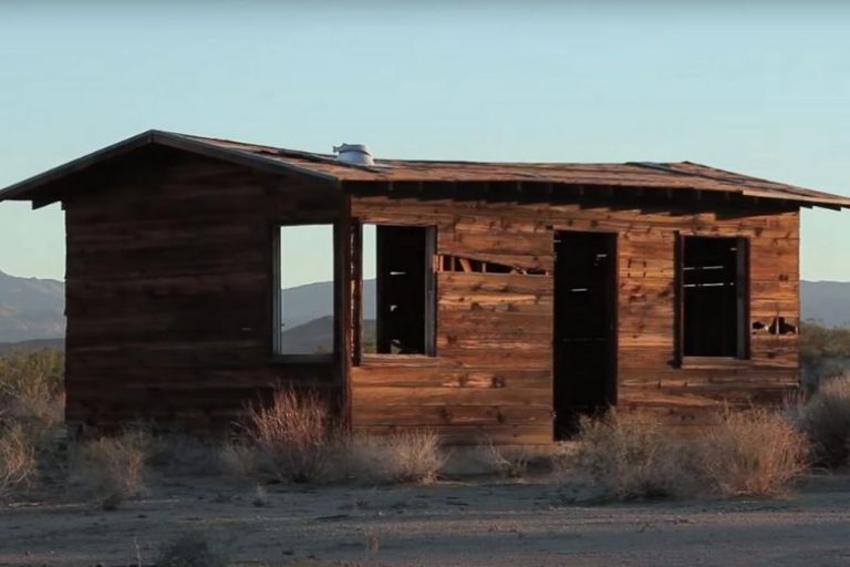 THIS is why everyone sprinkles ground cinnamon all over their gardens ...