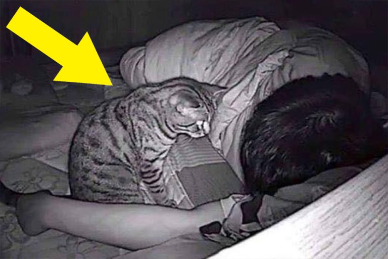 Fun fact: this is why you see your reflection upside down in a spoon!