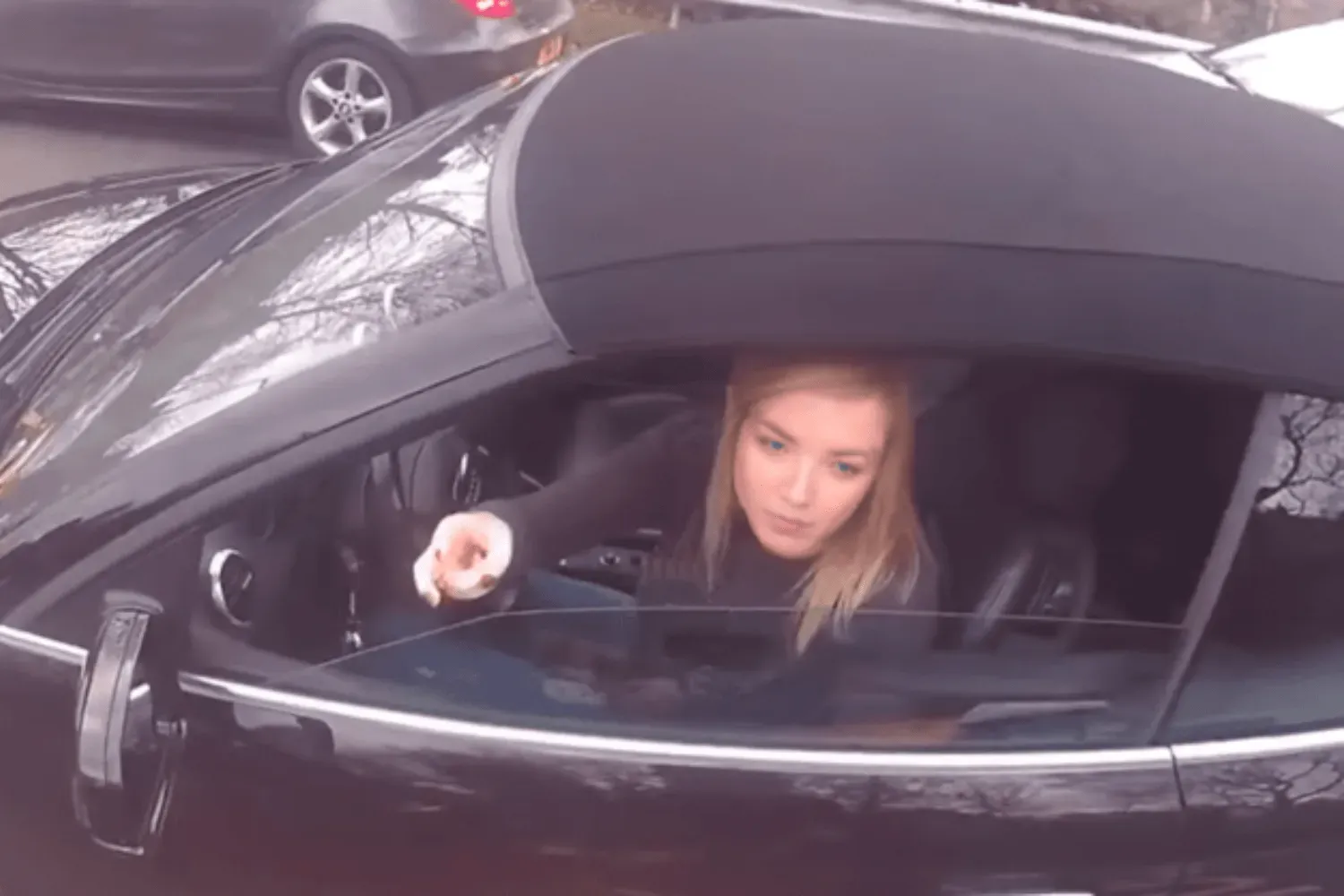 Truck driver gets sweet revenge against the wealthy woman who blocked ...
