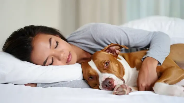 Woman Thought She Could Sleep Safely With Her Pet Dog Every Night ...